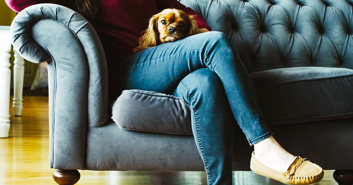 The Couch Potato Test